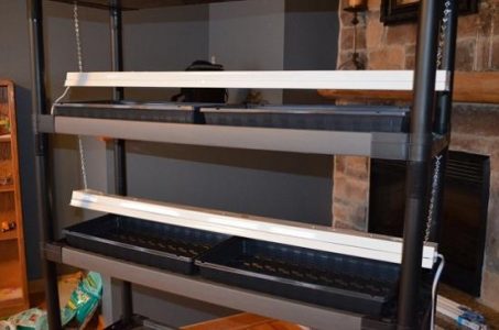 DIY Grow Light Stand for Seed Starting - Grit